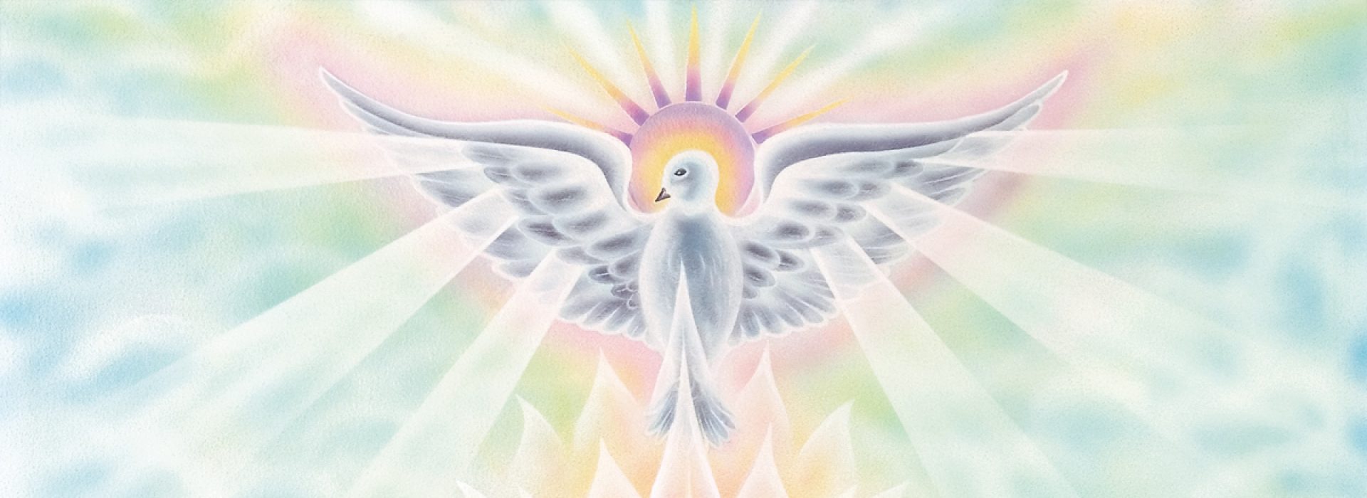 Alta Major® International